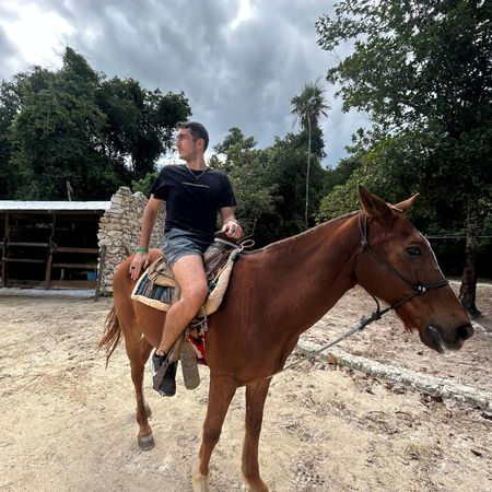 Descubre la magia de la selva maya montando un imponente caballo.